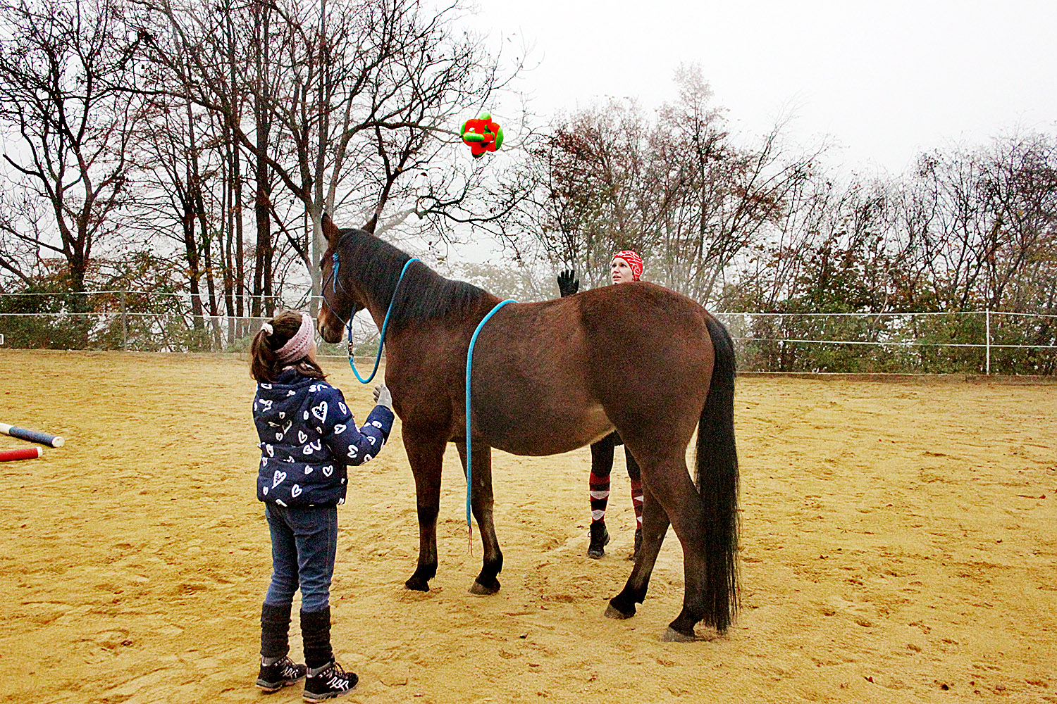 Spiele Auf Dem Pferd