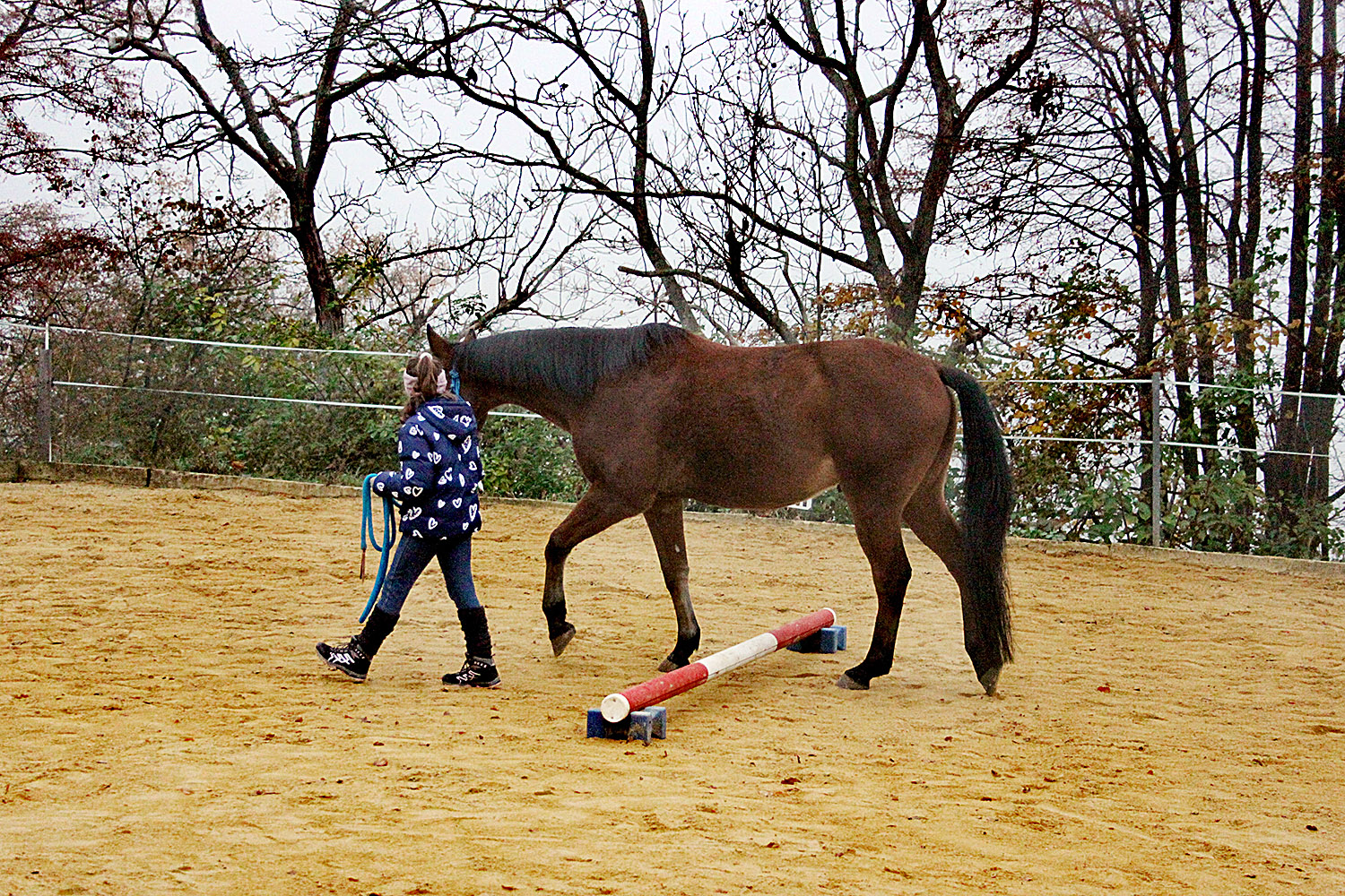 Spiele Auf Dem Pferd
