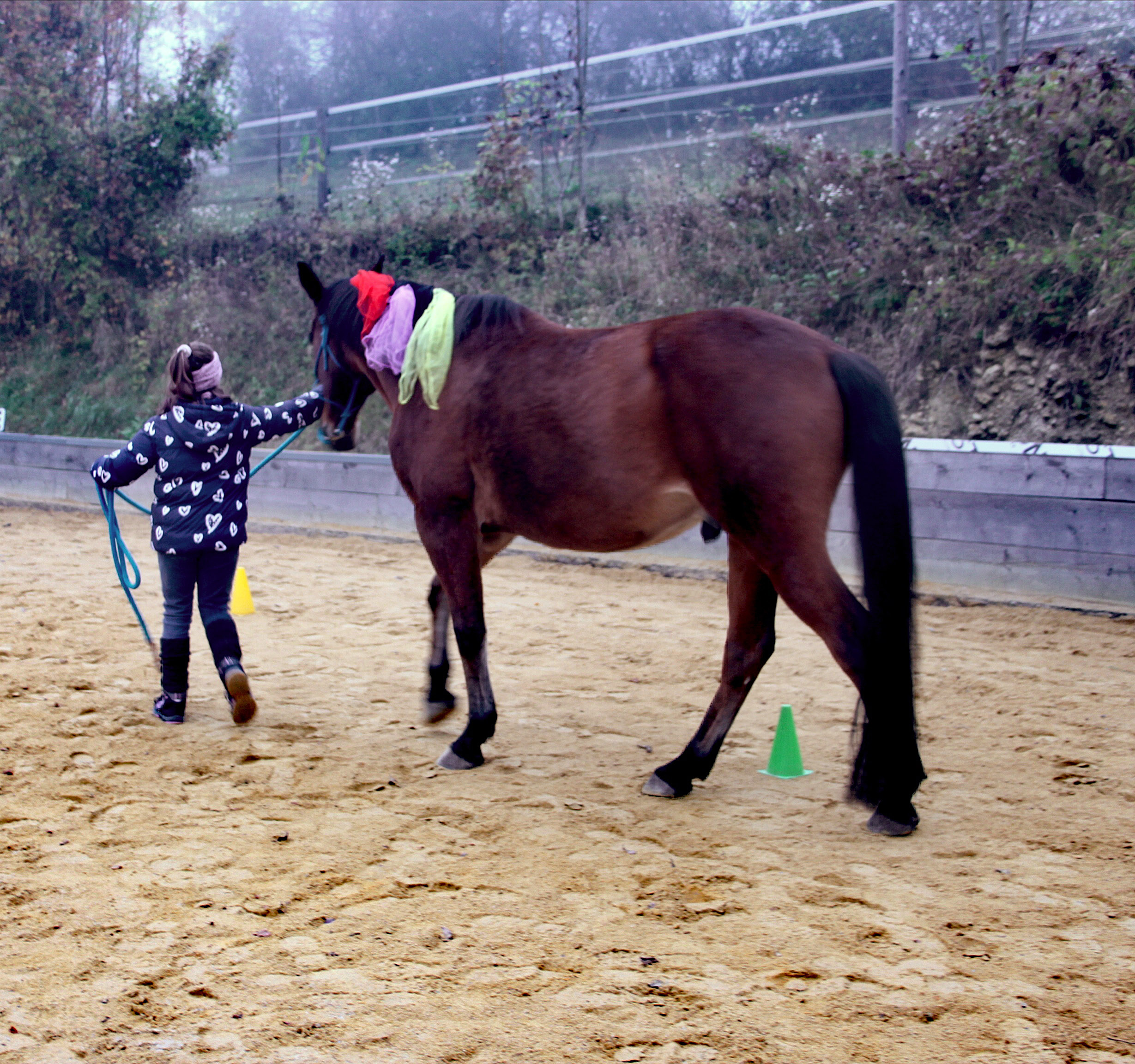 Spiele Auf Dem Pferd